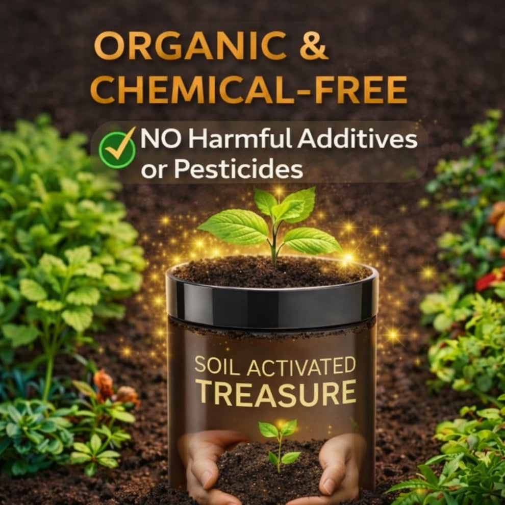 Soil Activated Treasure Premium Soil Activator 200gram (Pack of 2 ...